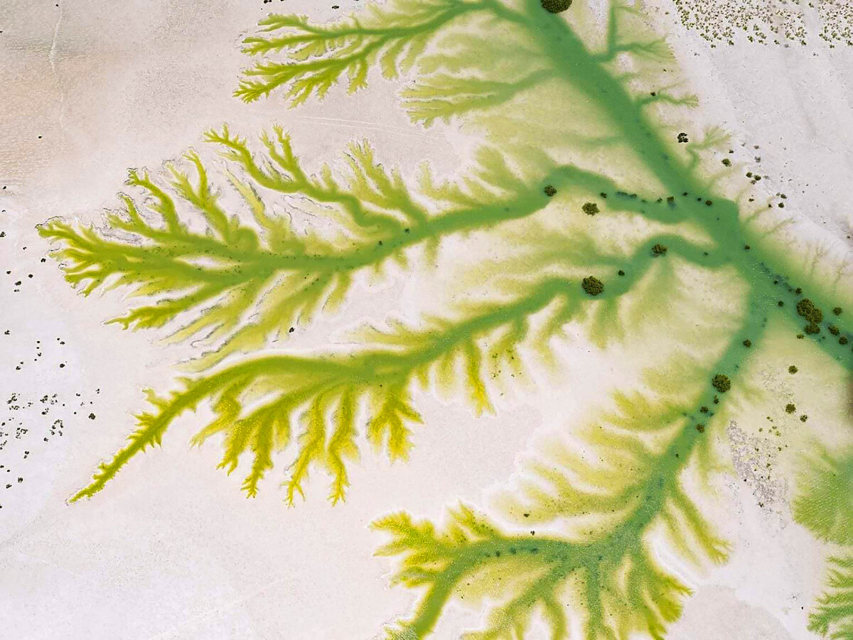 Tom Putt | The Independent Photographer