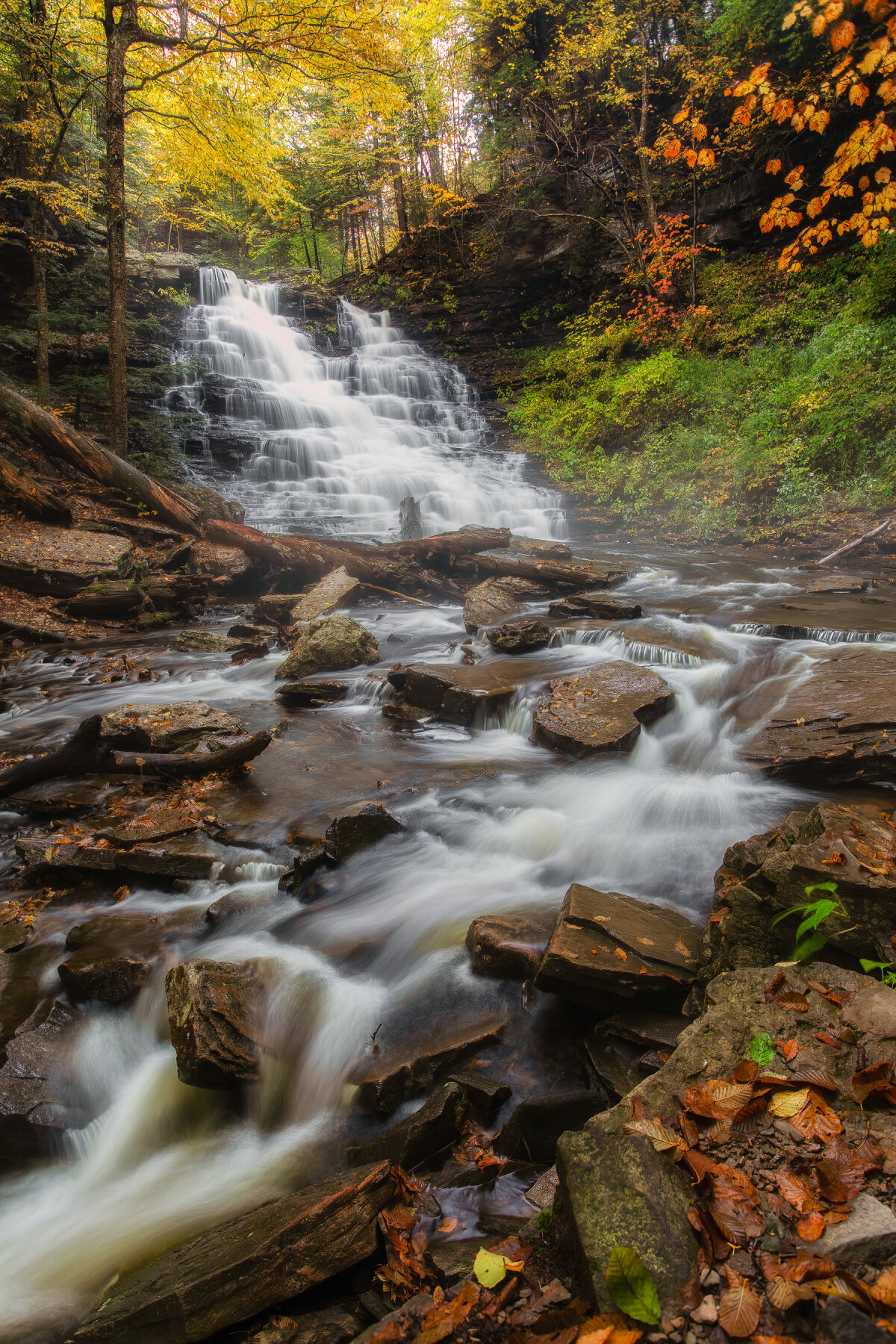 Kamala Raghavan | The Independent Photographer