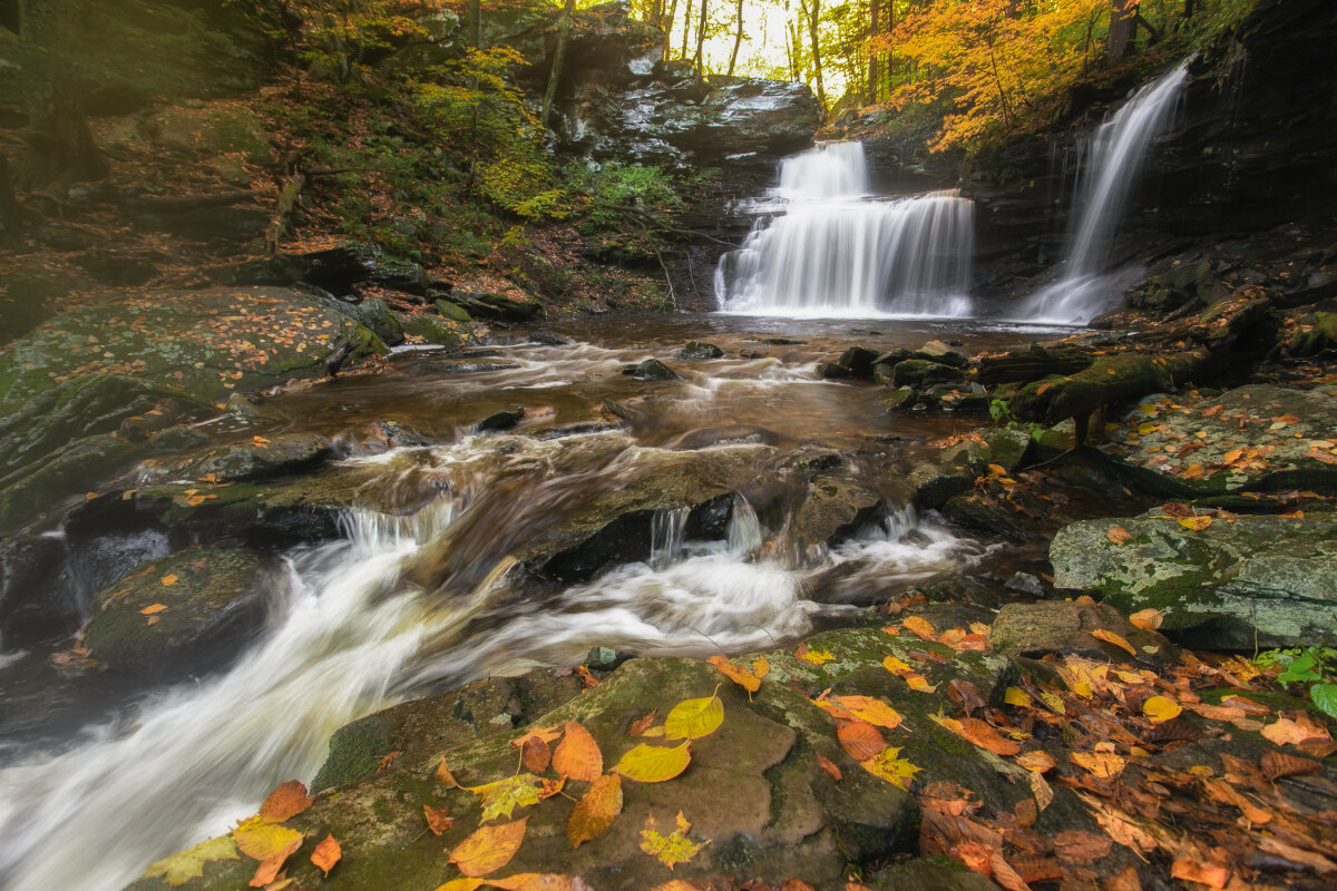 Kamala Raghavan | The Independent Photographer