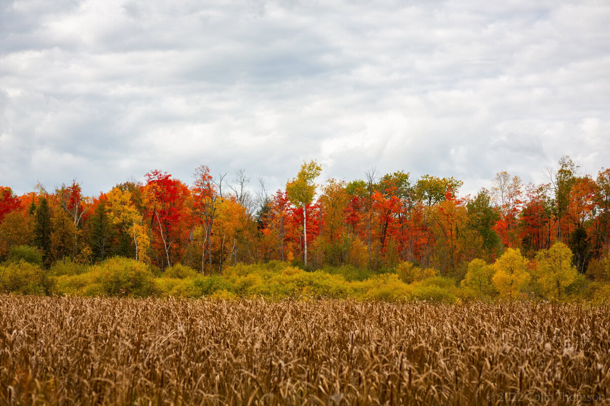 Colin Thomson | The Independent Photographer