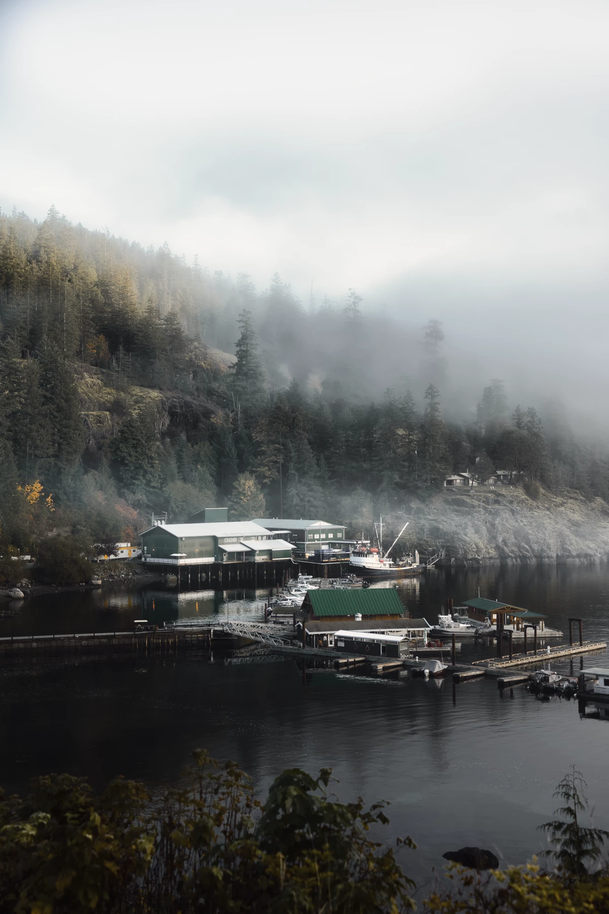 Celine Bobe | The Independent Photographer