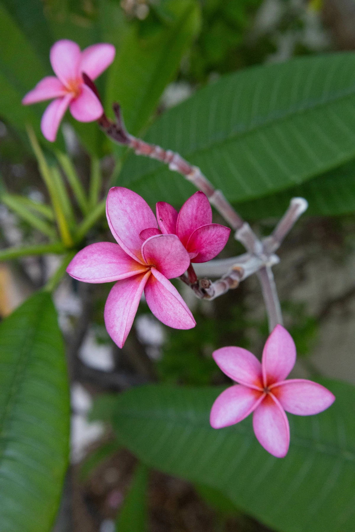 Jordan Payne | The Independent Photographer