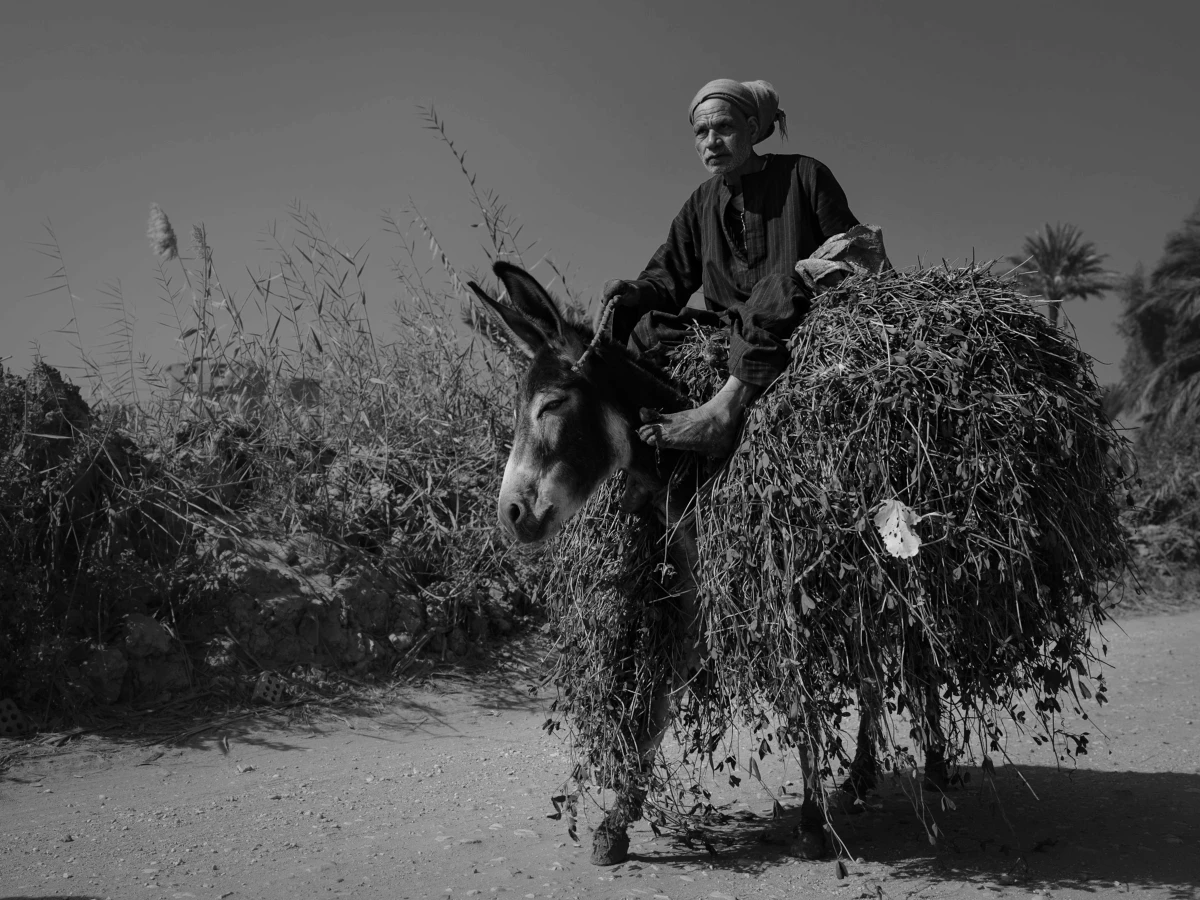 Daniel Everitt-Lock | The Independent Photographer