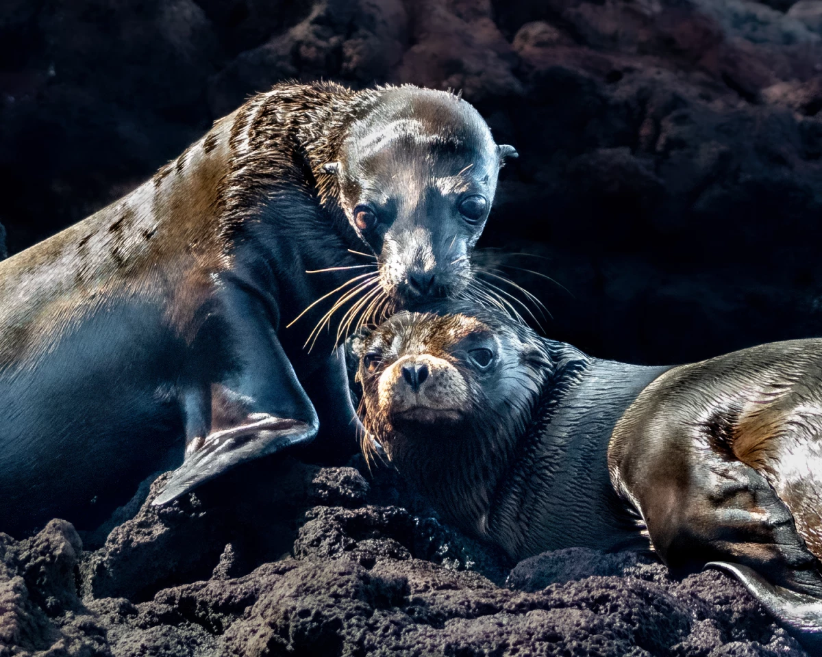 Gary Friedlander | The Independent Photographer