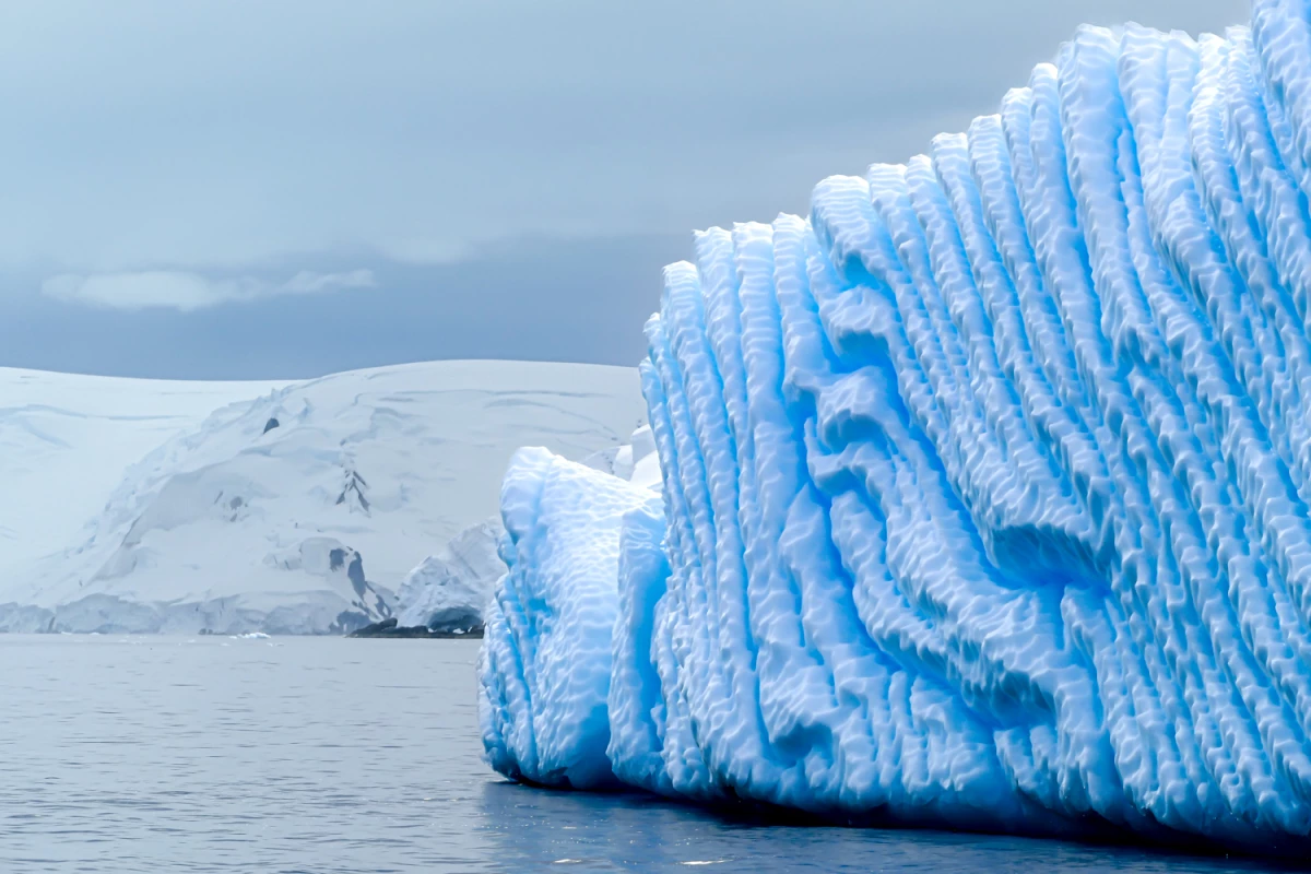 Gary Friedlander | The Independent Photographer