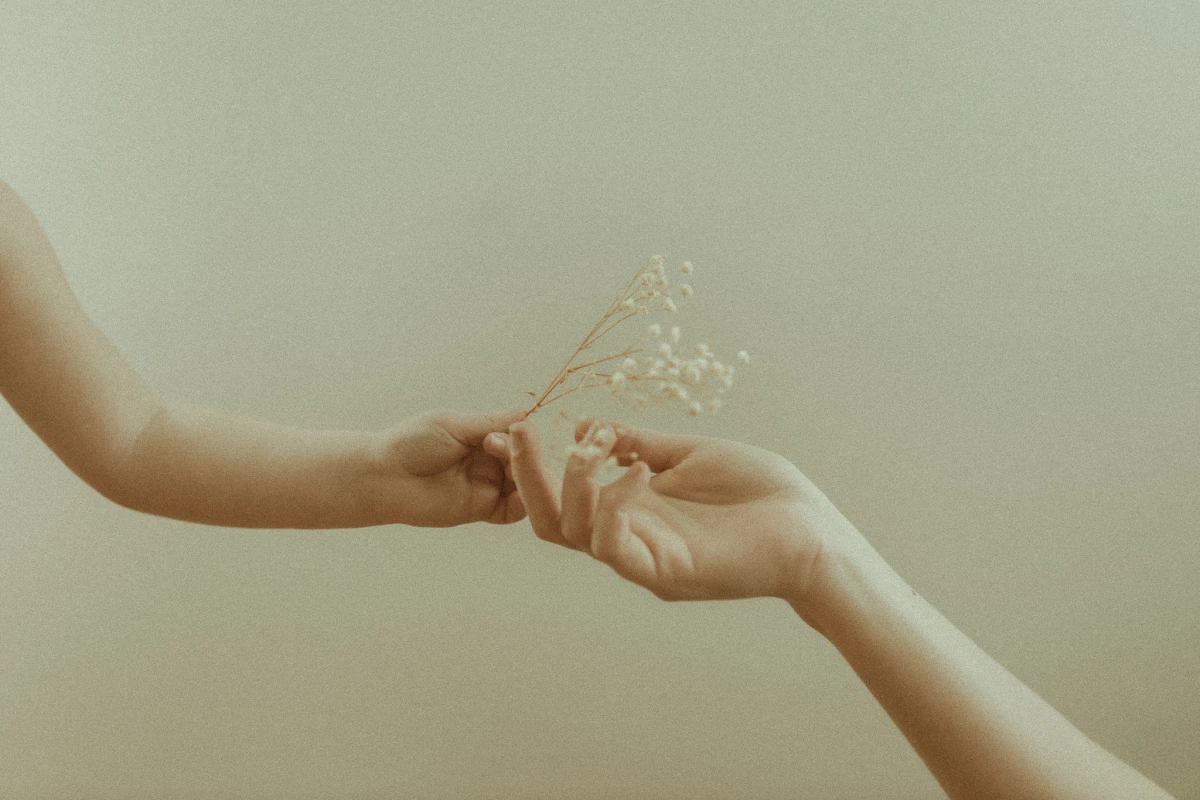 Megan Springer | The Independent Photographer