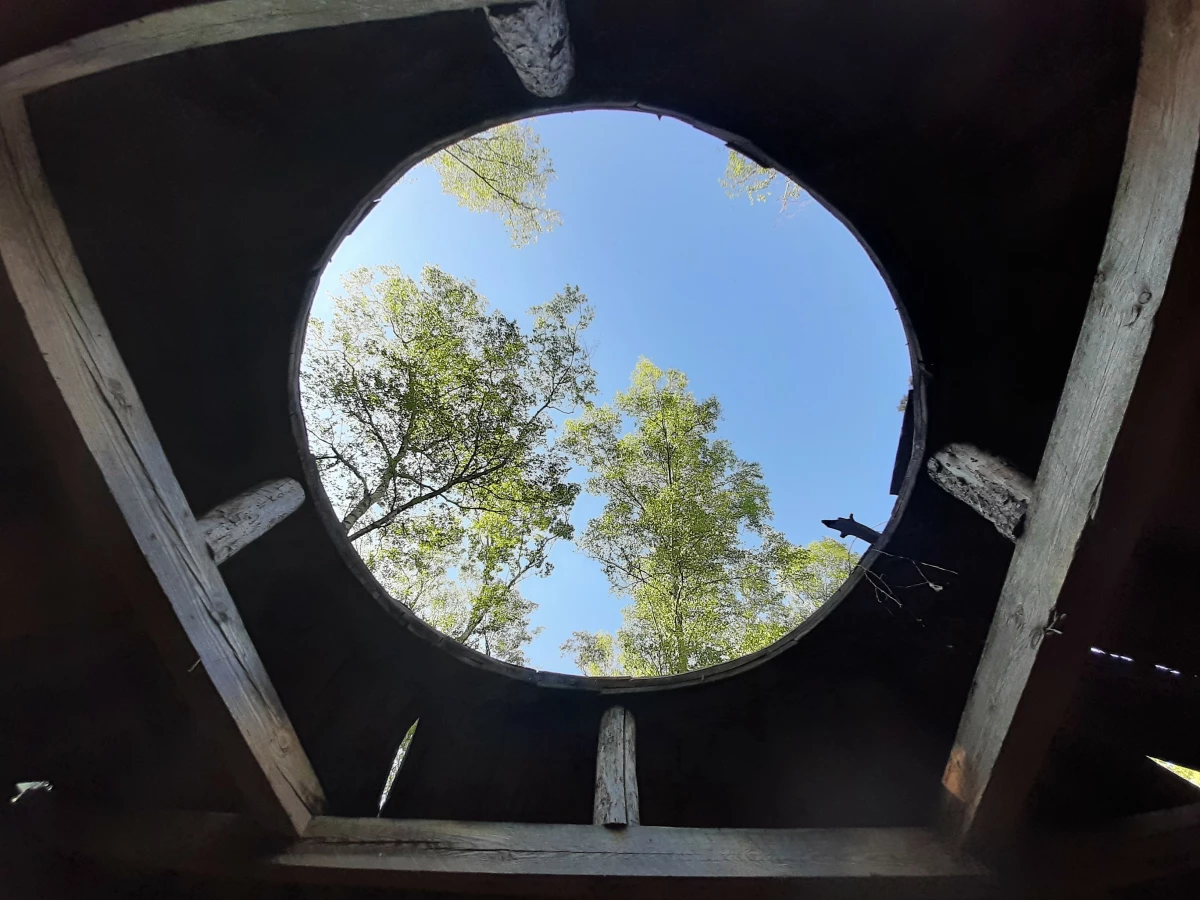 Evgeniy Chernyshev | The Independent Photographer