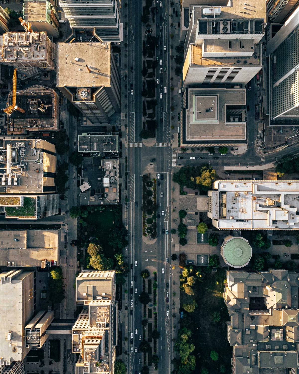 Benjamin Gibson | The Independent Photographer