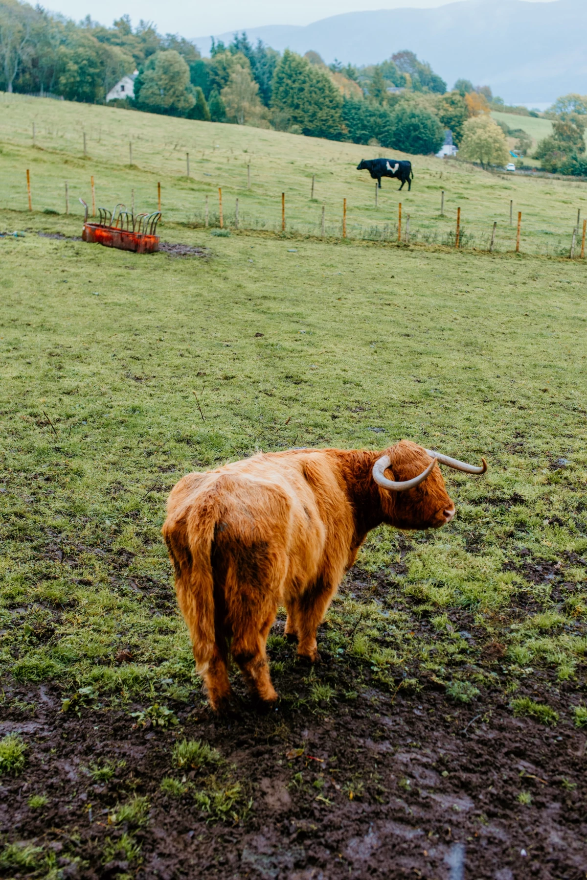 James Isaac Jones | The Independent Photographer