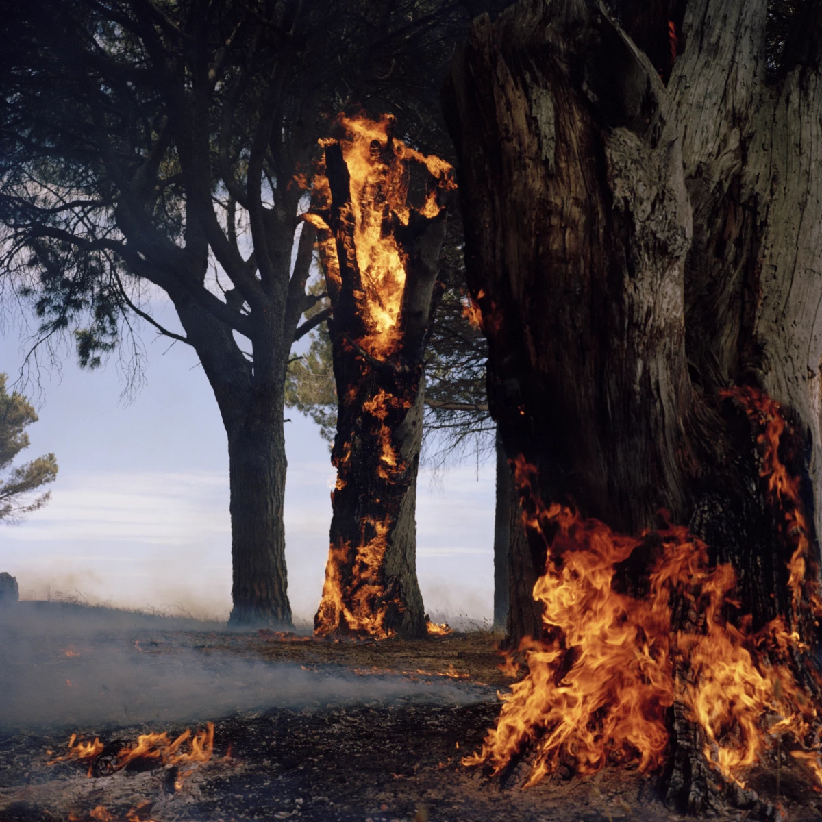 John-Alex Second | The Independent Photographer