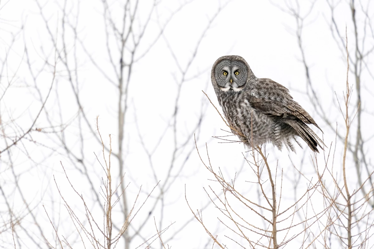 Tracey Dyer | The Independent Photographer