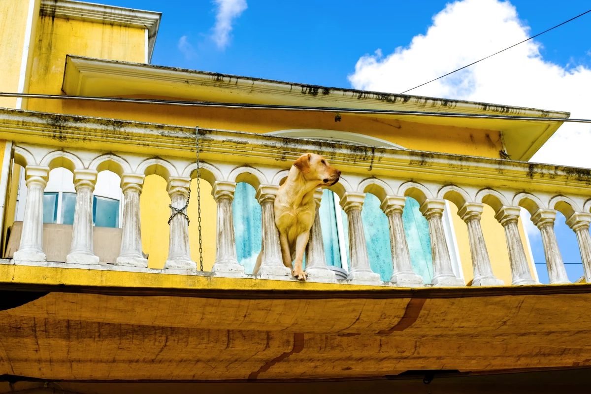 Mikhail Khoury | The Independent Photographer