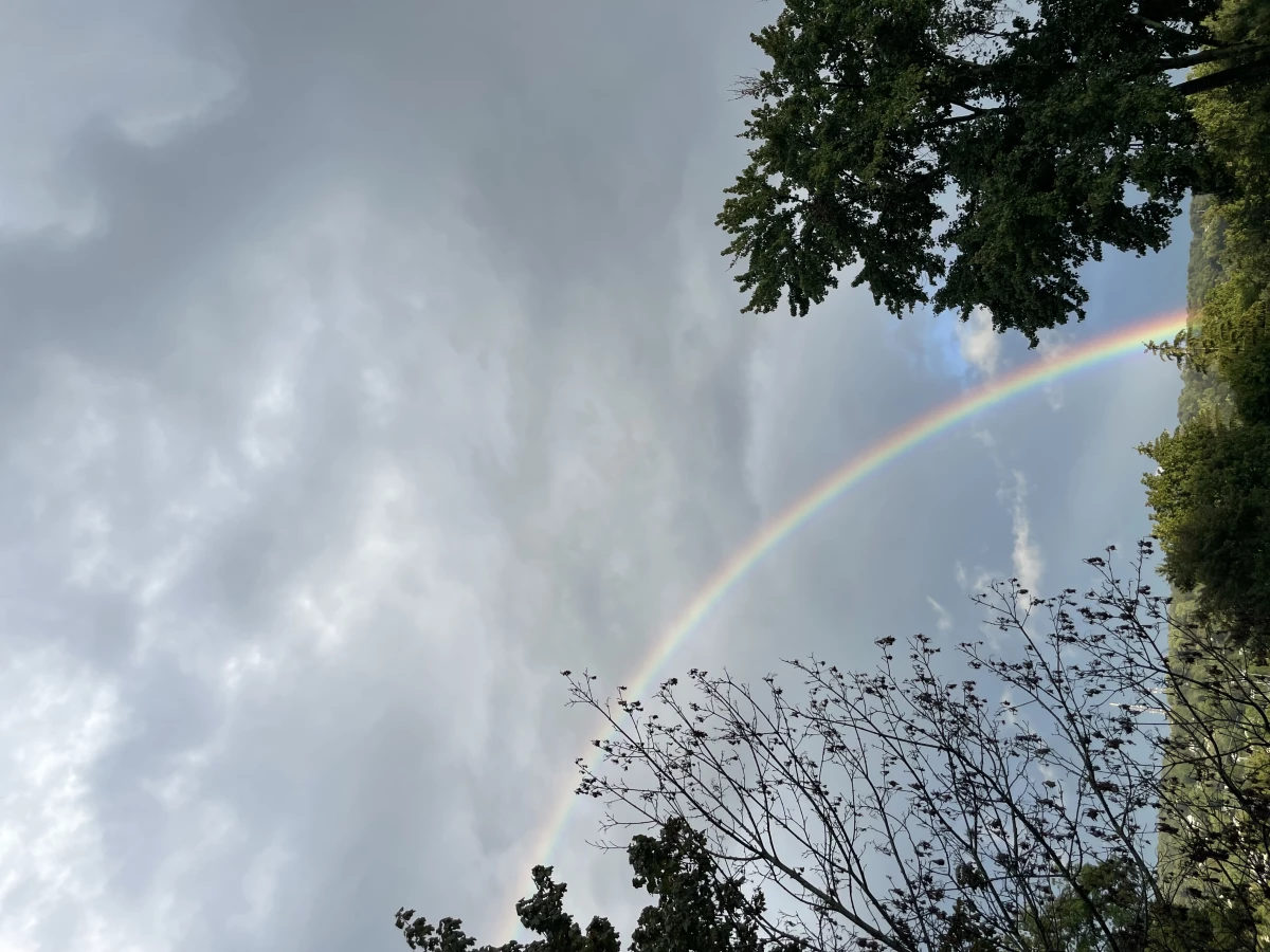 David Younger | The Independent Photographer