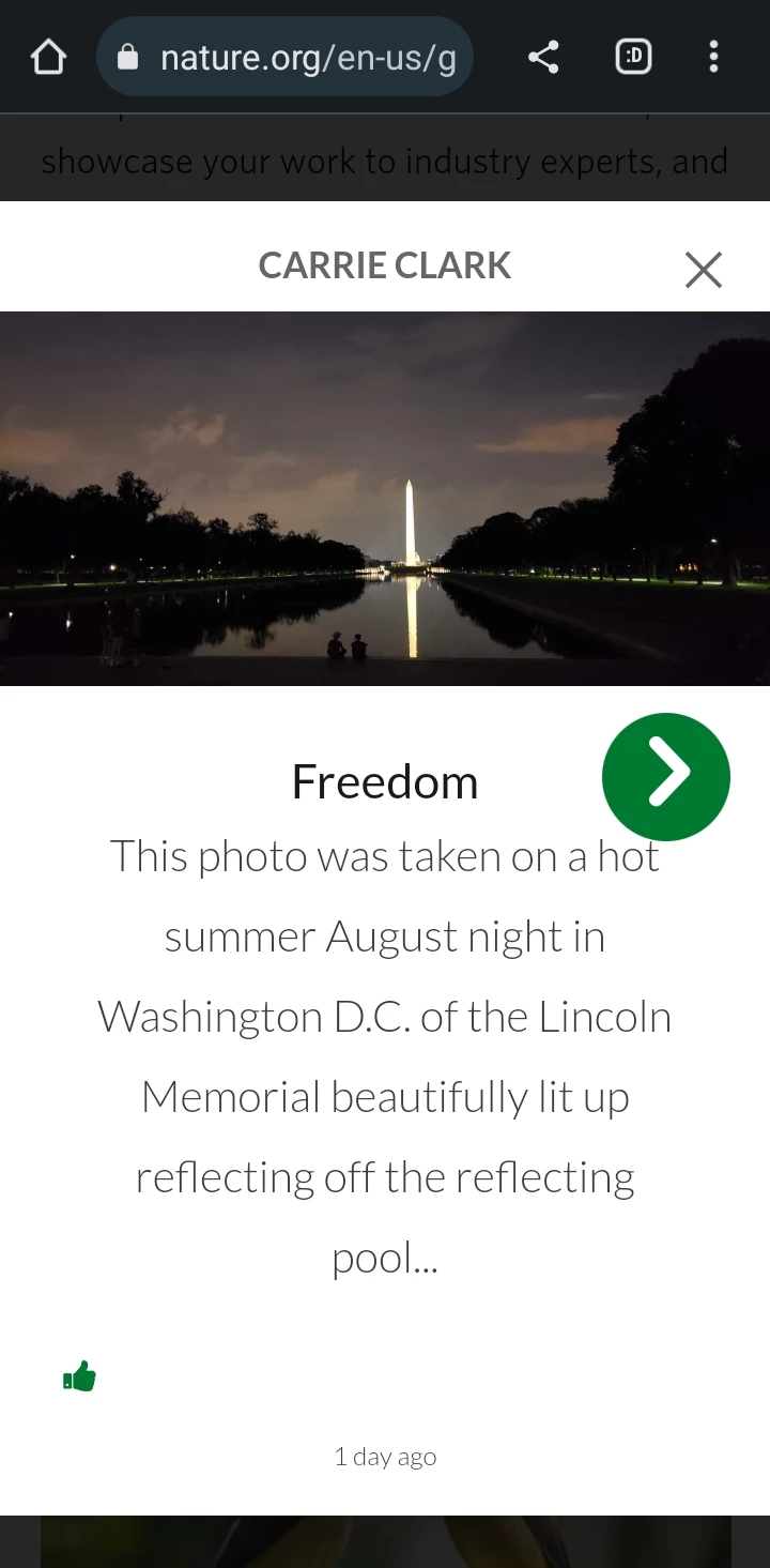 Carrie clark | The Independent Photographer