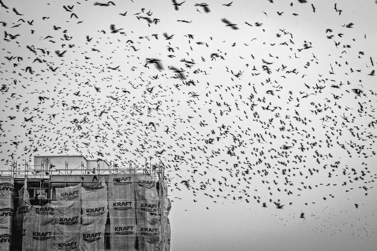 Gabriel Gheorghe | The Independent Photographer