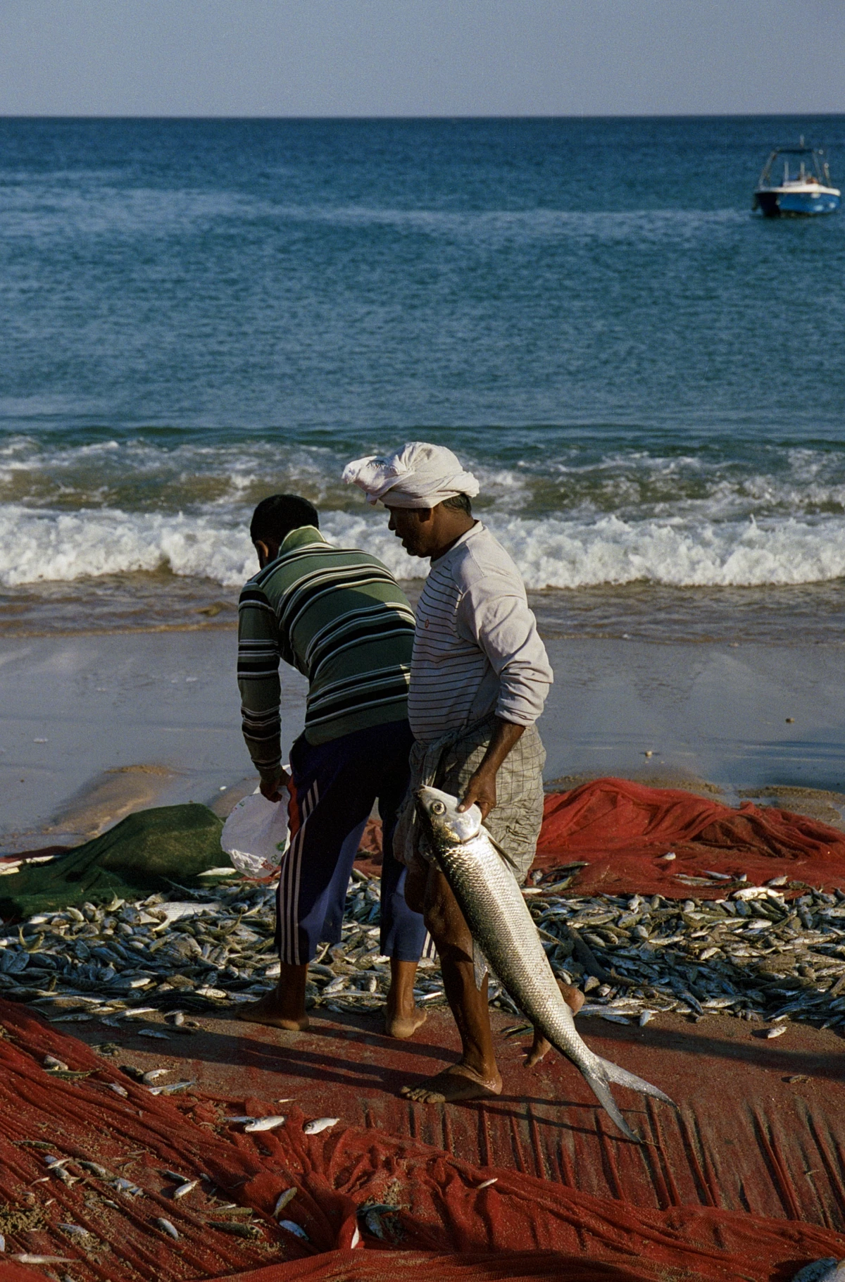 Donal Murphy | The Independent Photographer