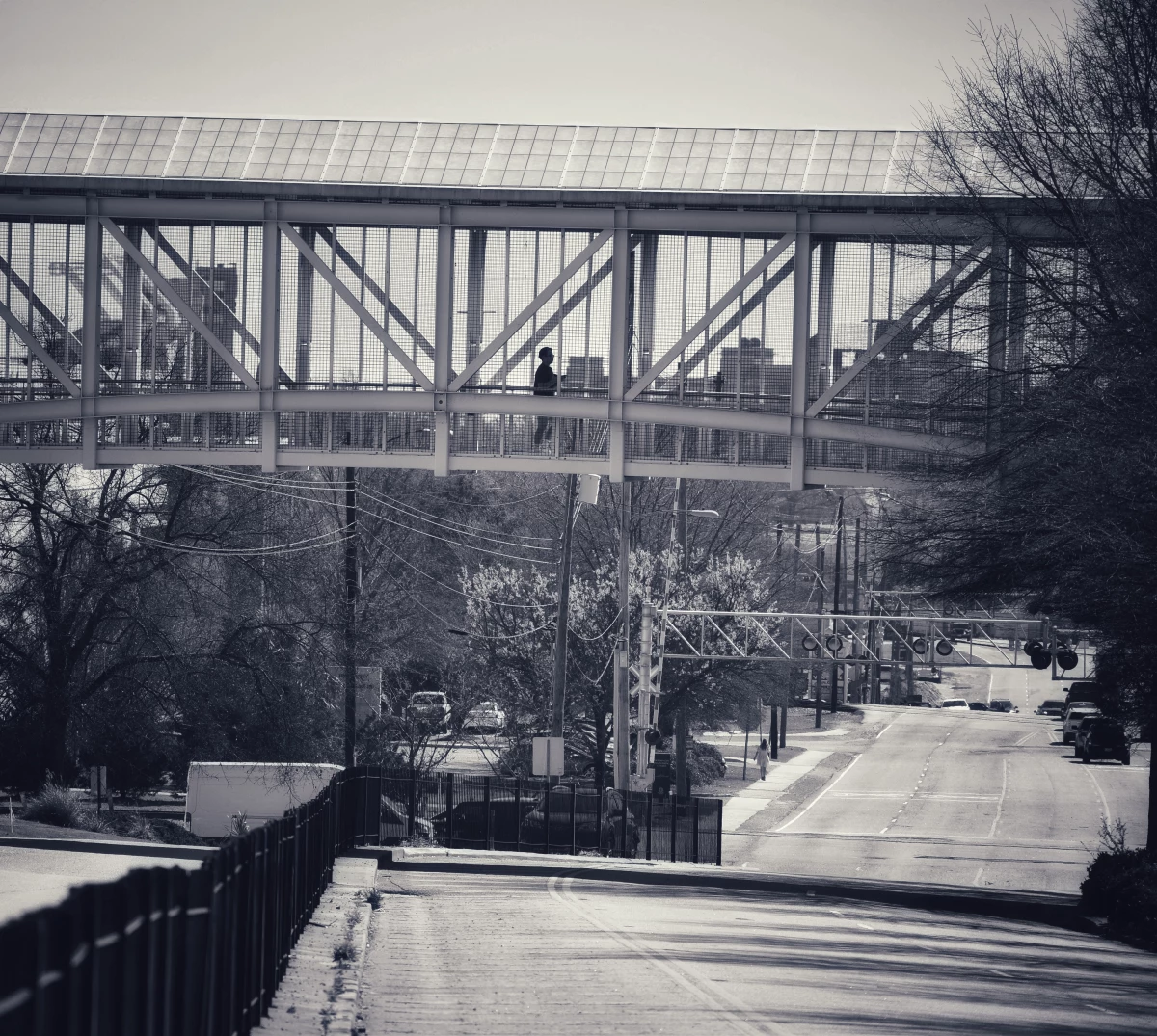 Craig Glass | The Independent Photographer