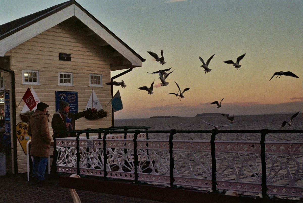 Cerys Jones | The Independent Photographer