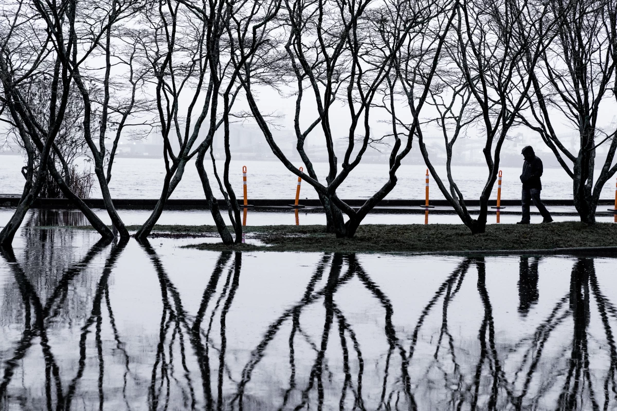 Susan Baek | The Independent Photographer