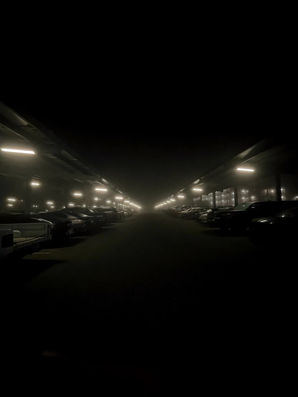 Brian Knowles | The Independent Photographer