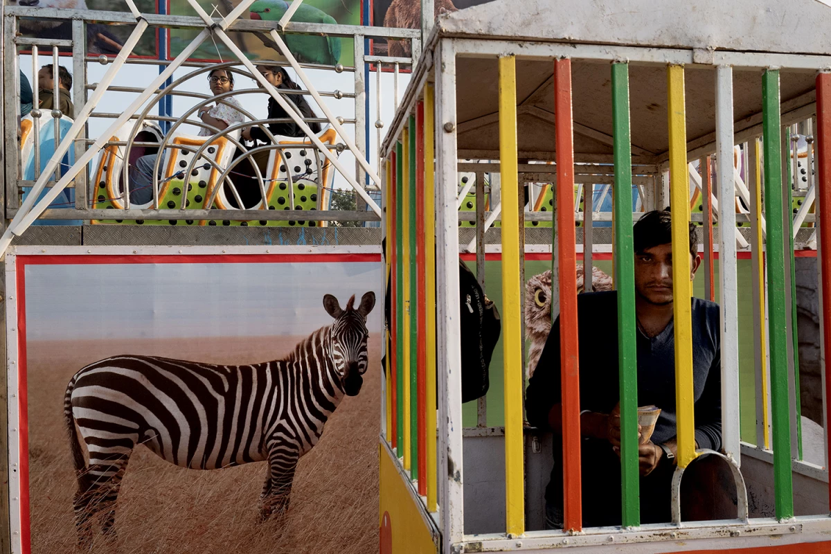 Sally Coggle | The Independent Photographer