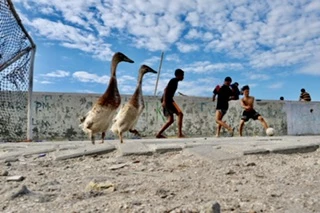 Agus Ibrahim | The Independent Photographer