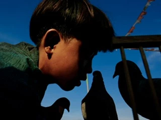 agus ibrahim | The Independent Photographer