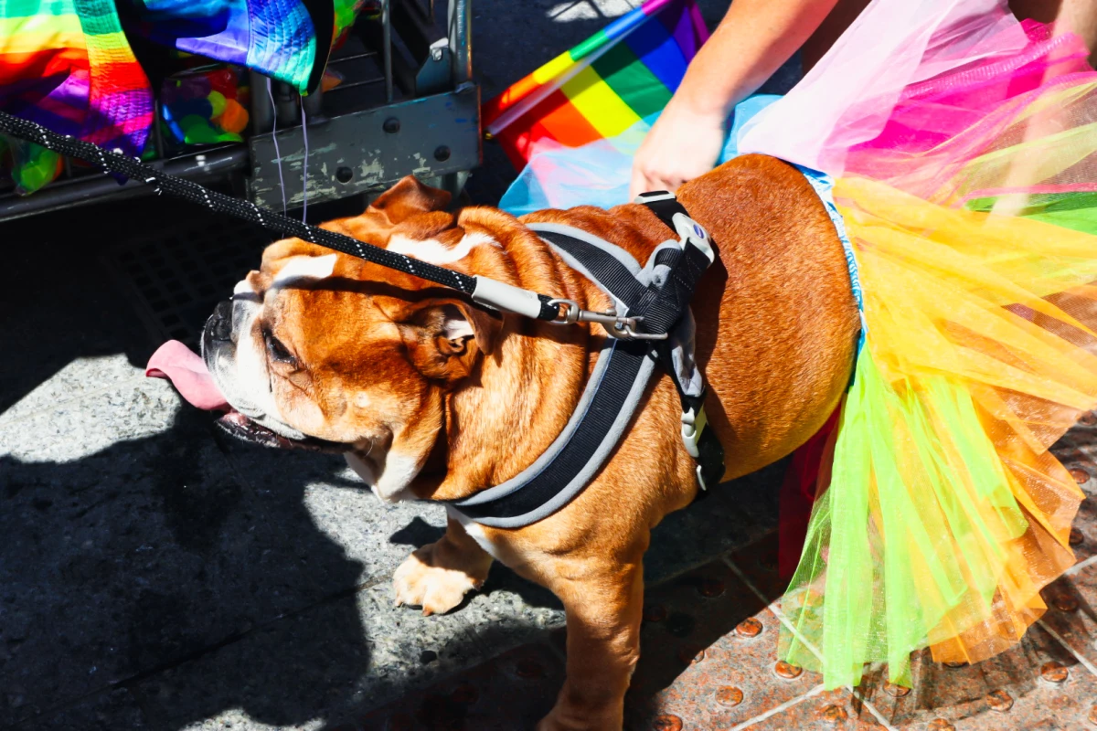 Robert Fitzgerald | The Independent Photographer