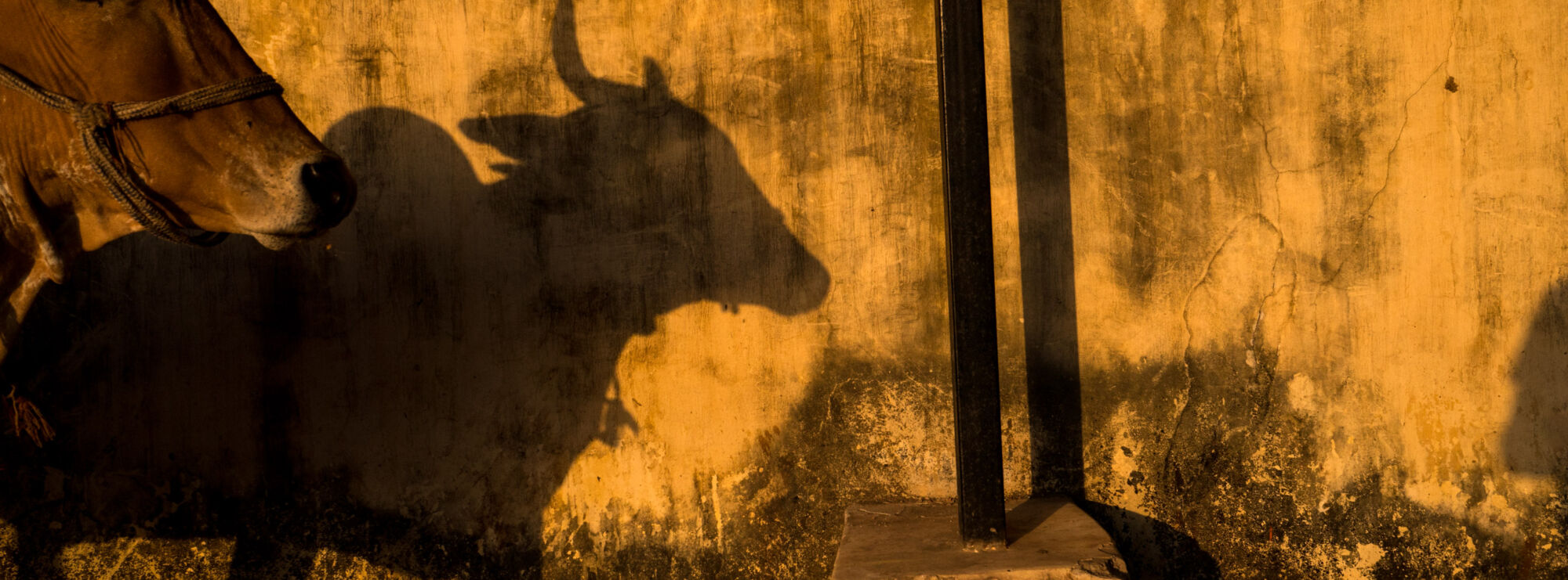 Massimo Russo | The Independent Photographer