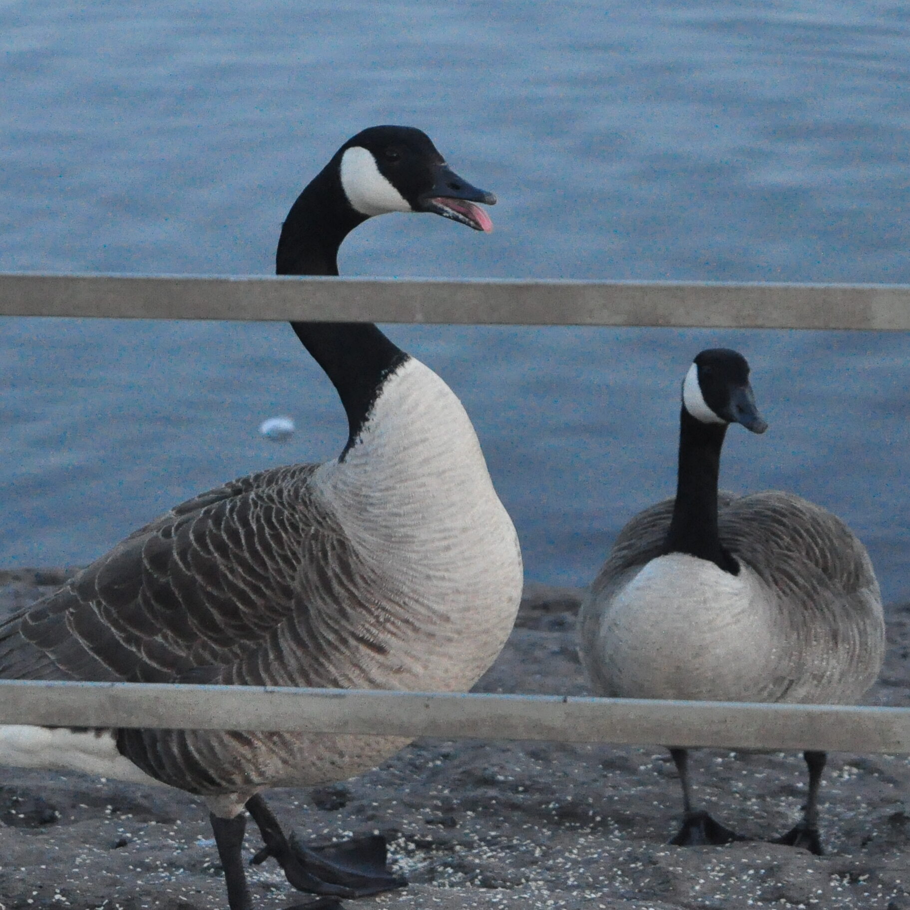 Magda Bond | The Independent Photographer