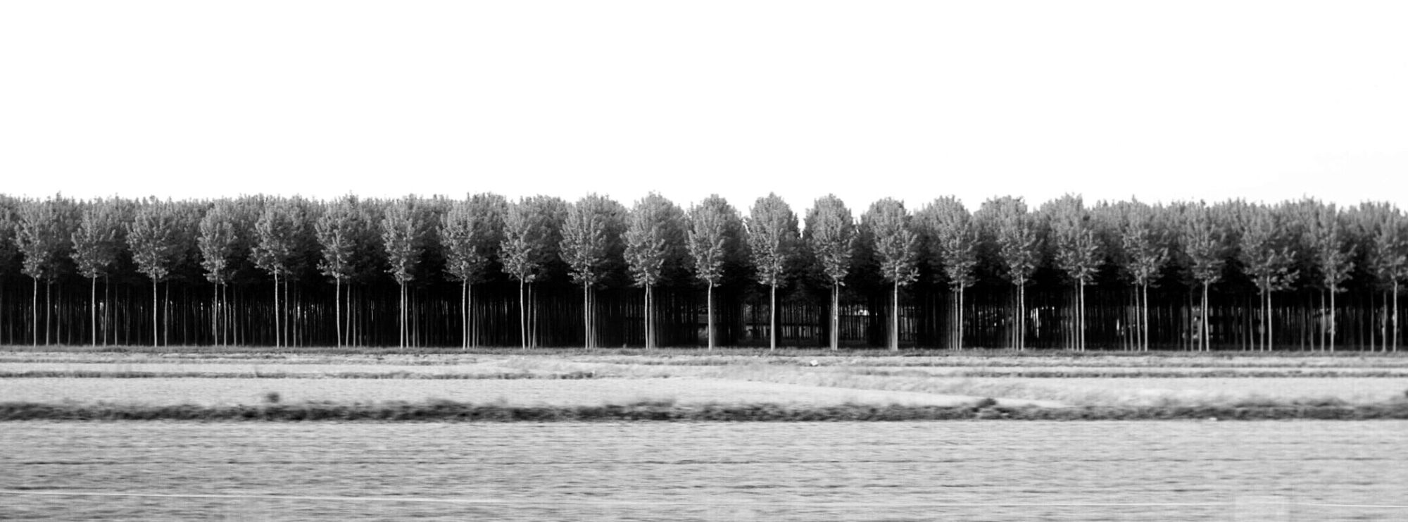 David Pizzolato | The Independent Photographer