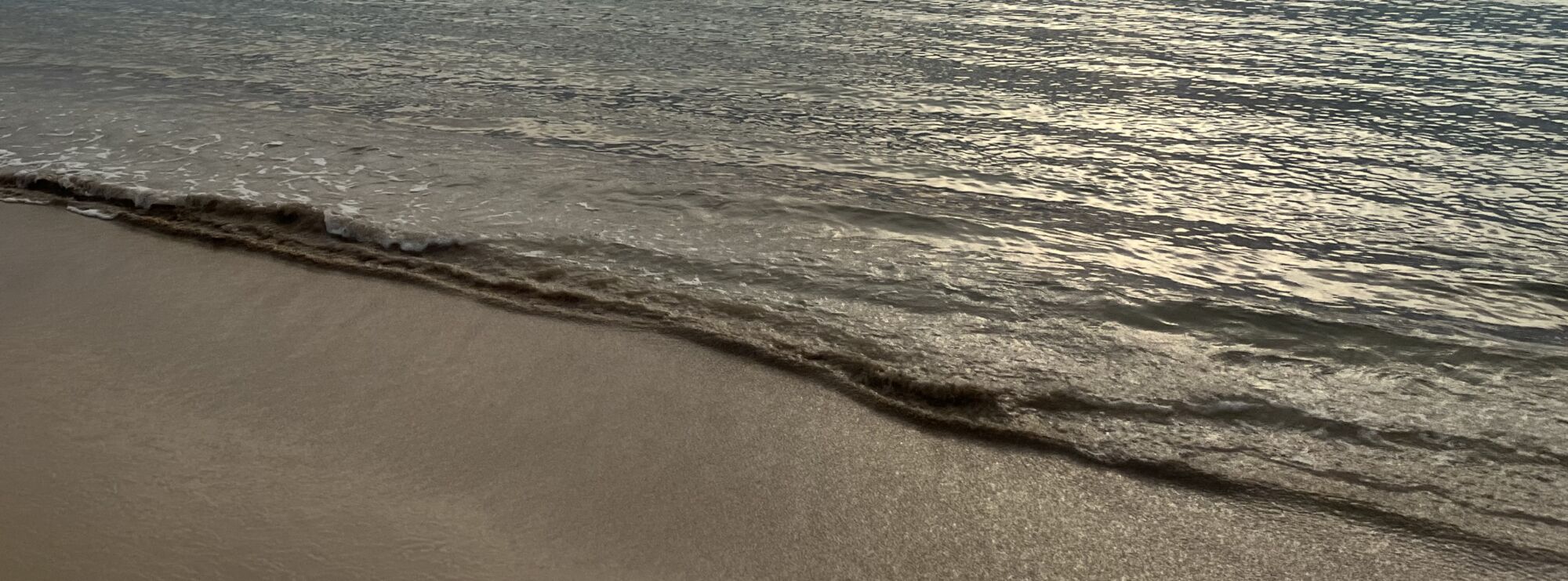 Charlotte Rice | The Independent Photographer