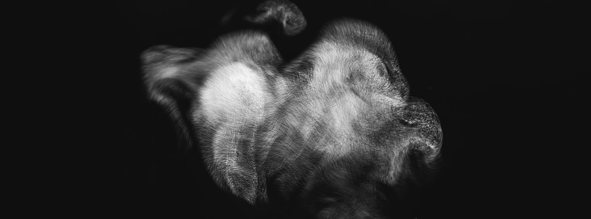 Thomas Stephan | The Independent Photographer