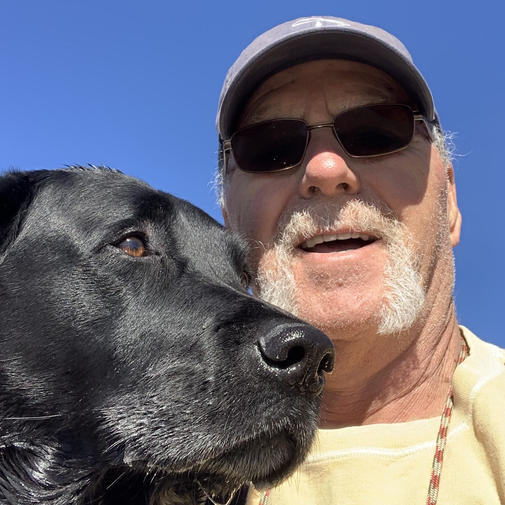 Steve Stark | The Independent Photographer