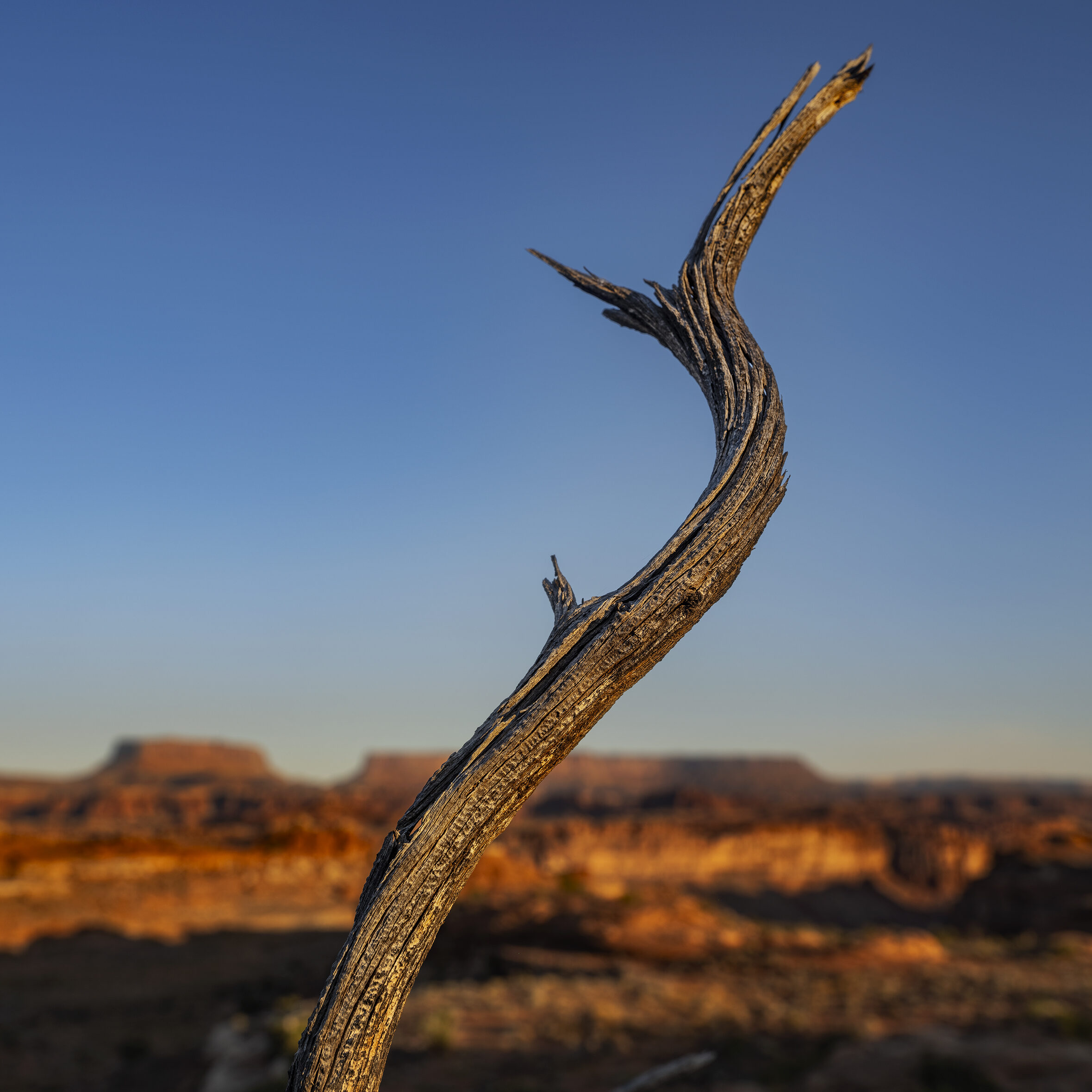 Andrew Macpherson | The Independent Photographer