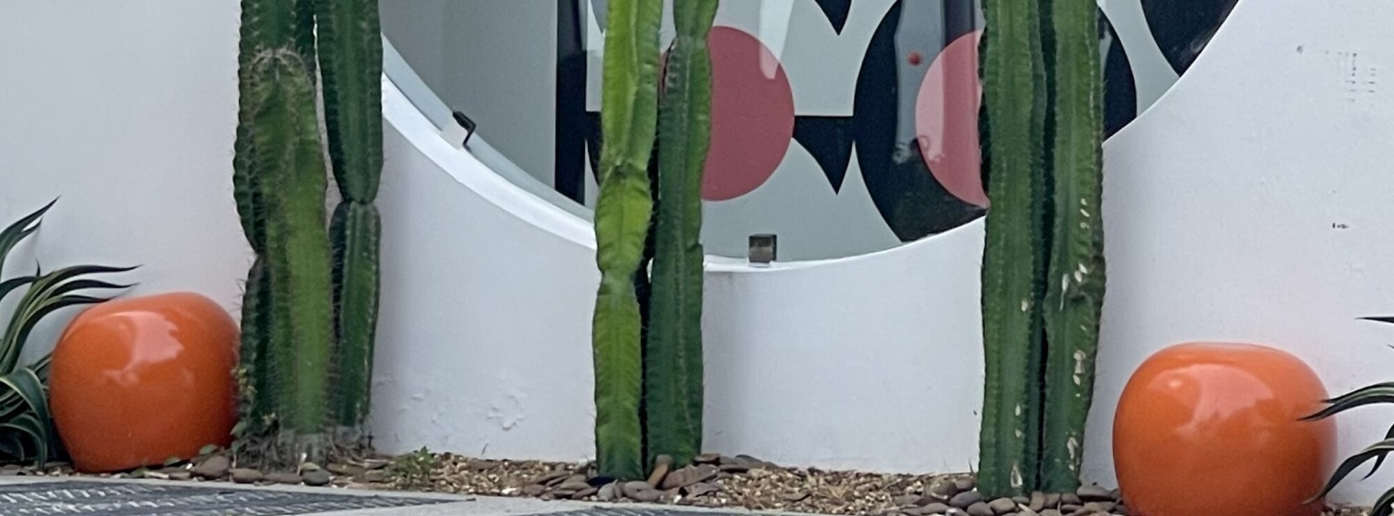 Nicole Talarico | The Independent Photographer