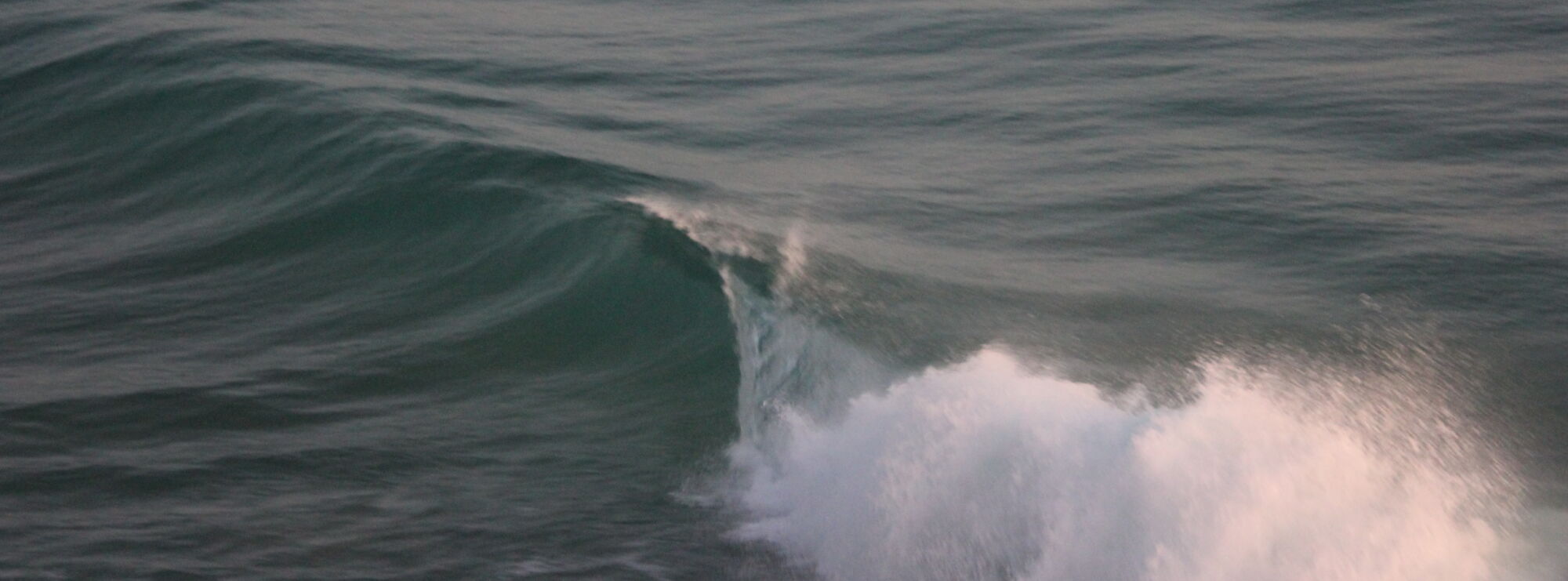 Francesca Benna | The Independent Photographer