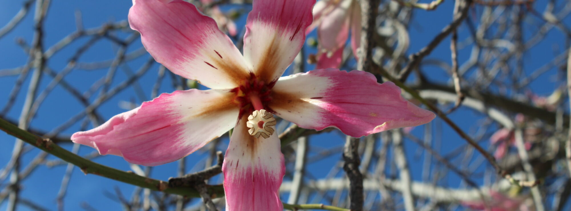 William Rodriguez | The Independent Photographer