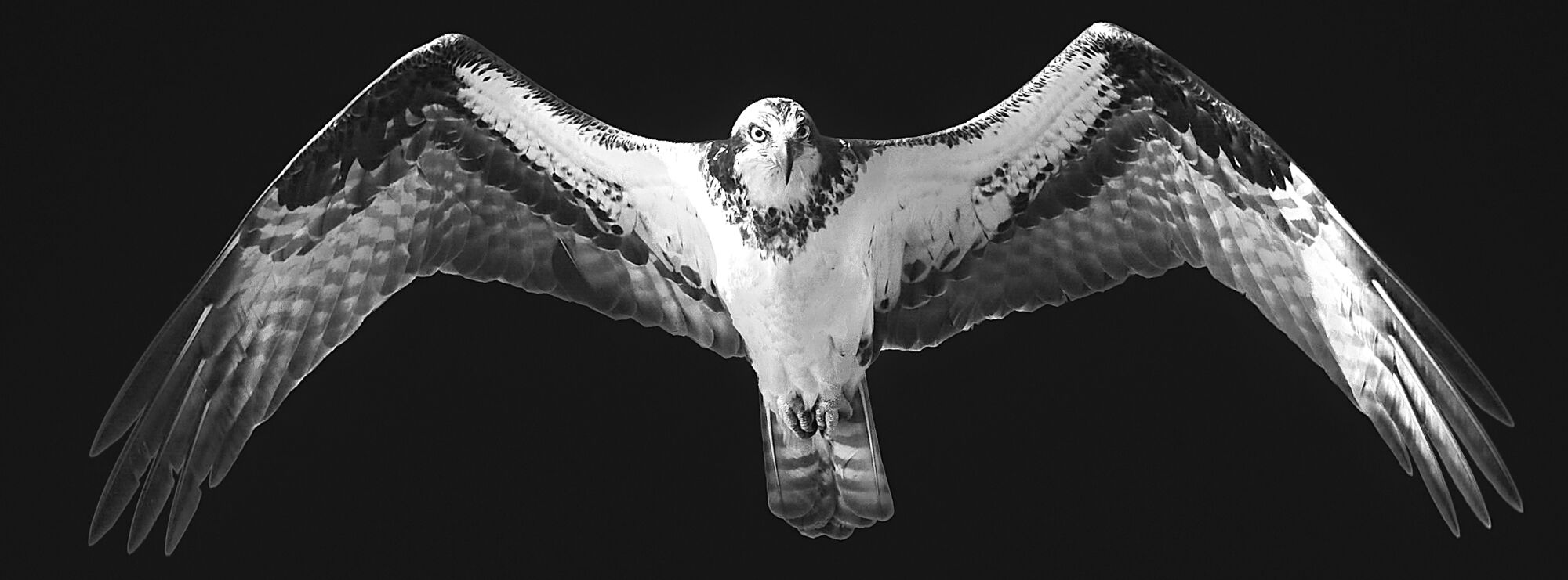 Paul Henry | The Independent Photographer