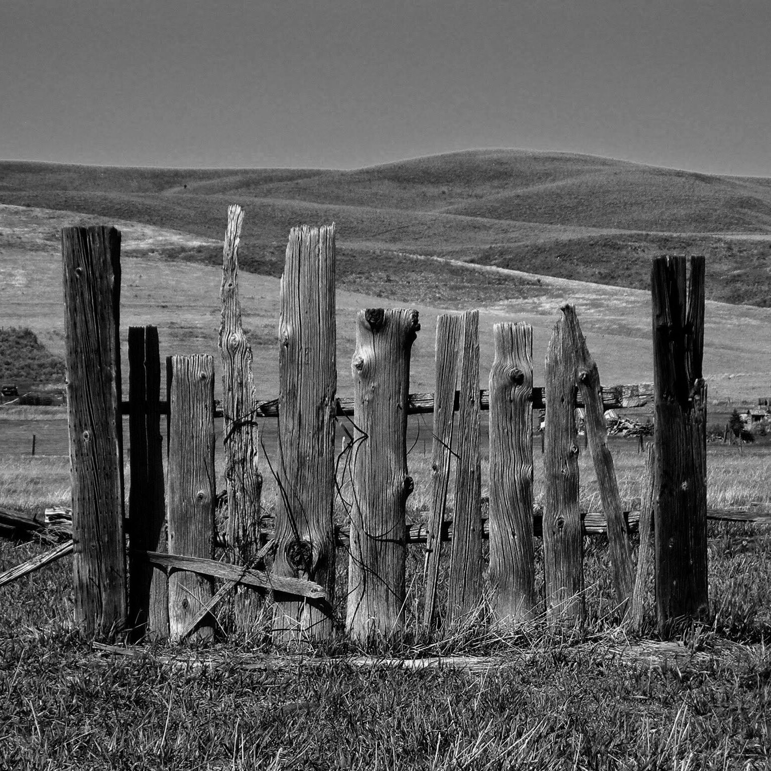 Ellen Ryan | The Independent Photographer