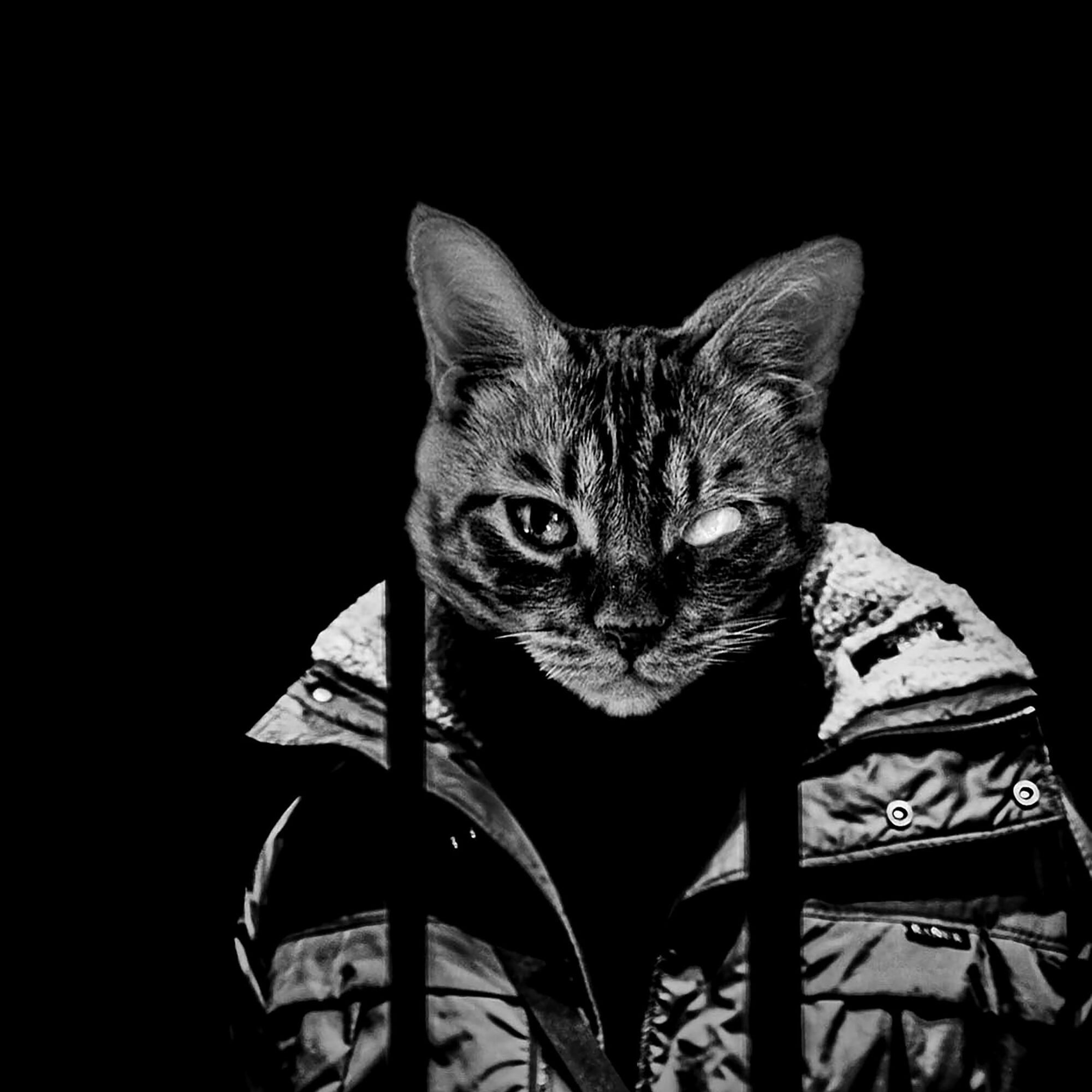 Kevin Machenaud | The Independent Photographer