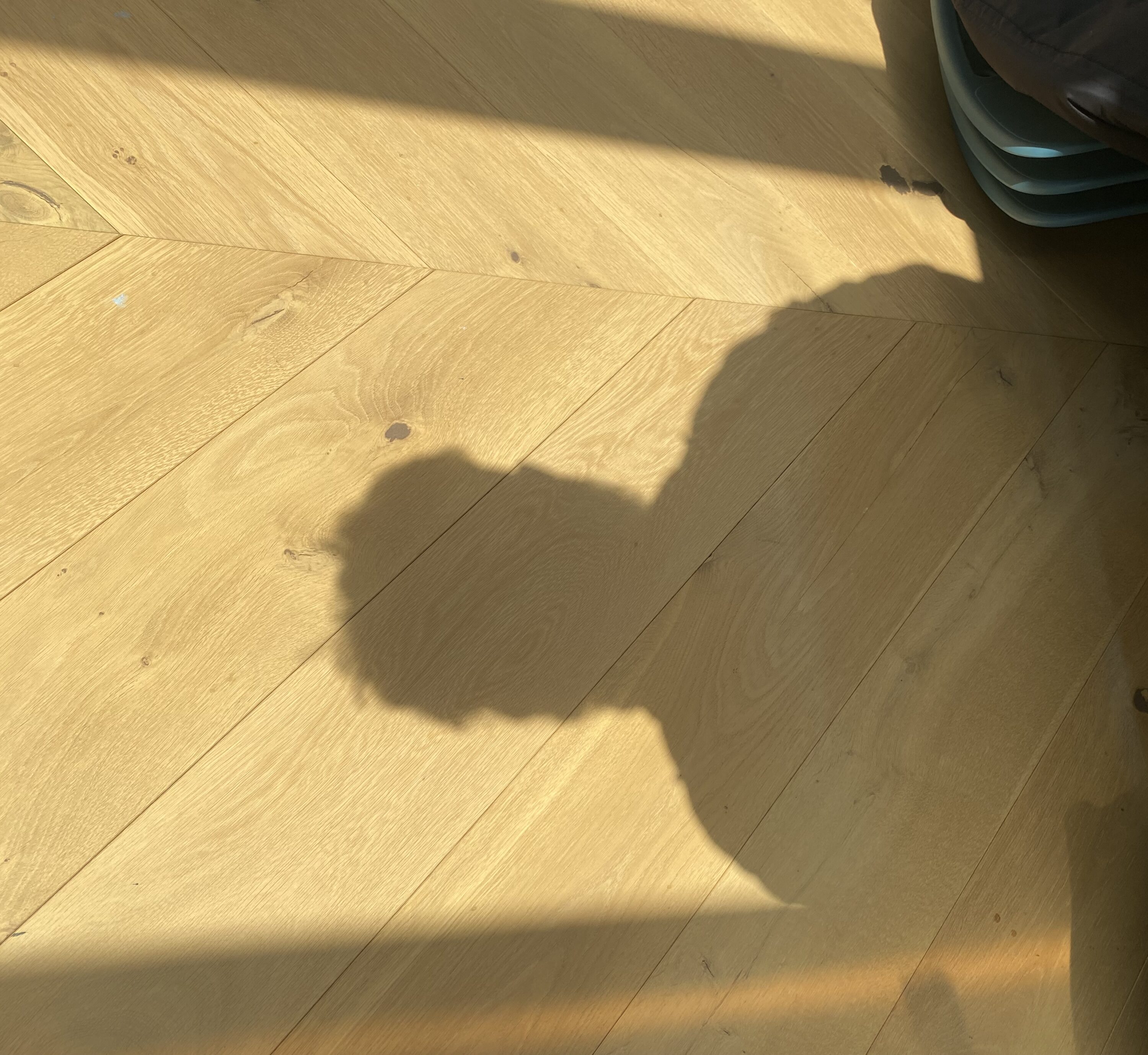 J Sanger | The Independent Photographer