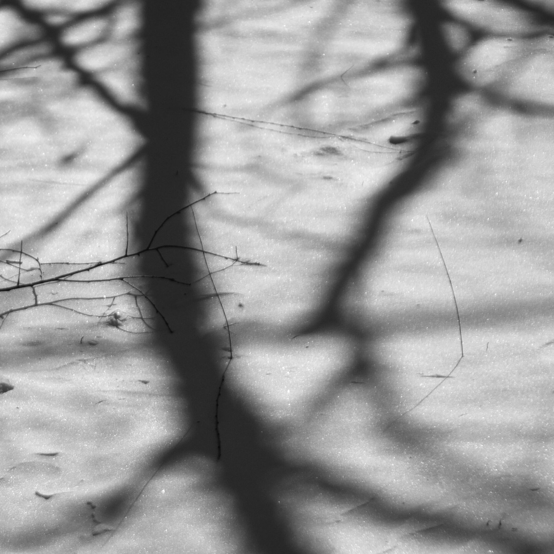 Danielle Towers | The Independent Photographer