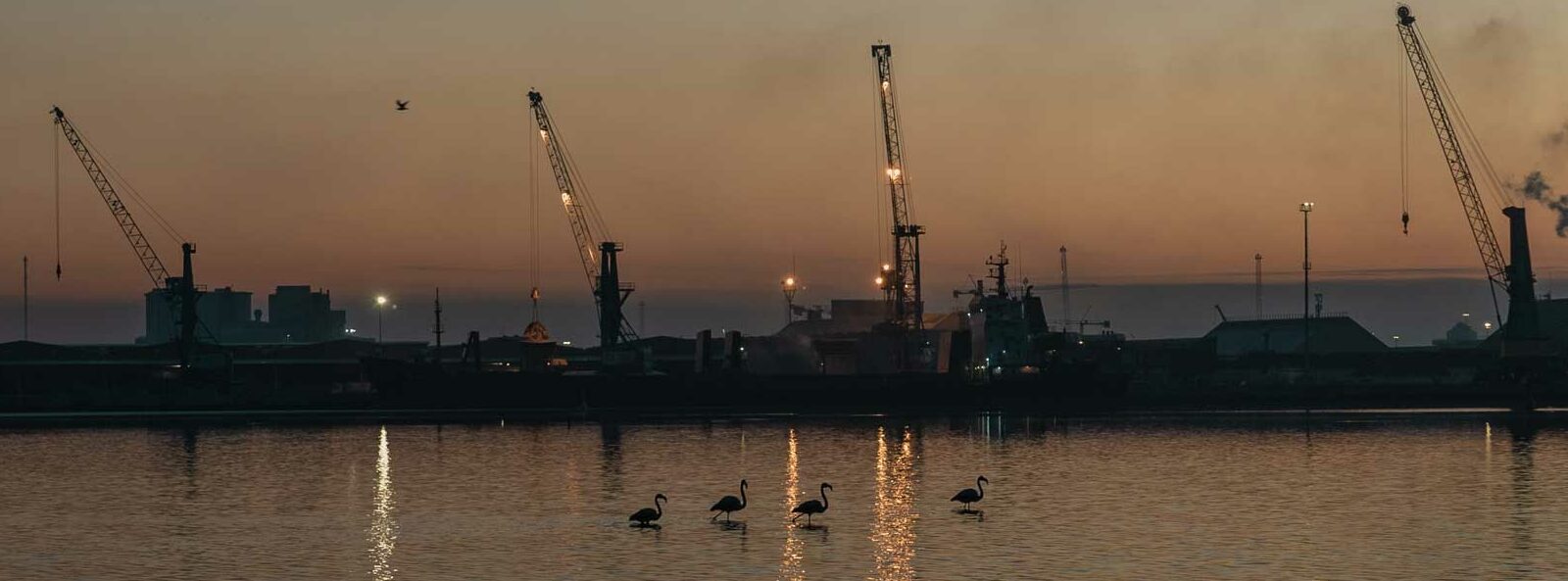 Alessandro Mazza | The Independent Photographer