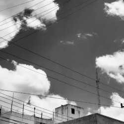 David Hankins | The Independent Photographer