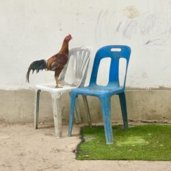 alex humphrey | The Independent Photographer