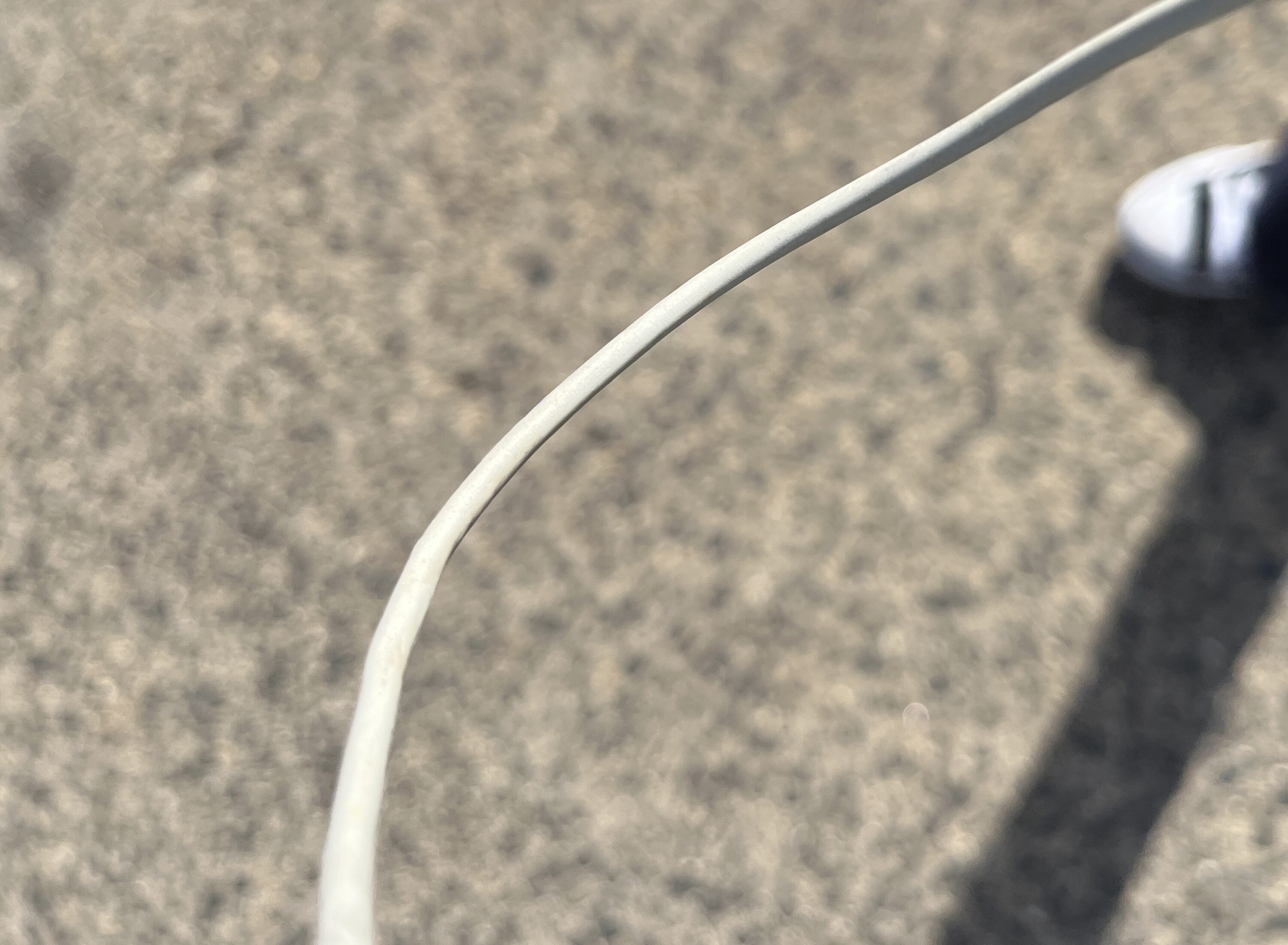 Elizabeth Harvey | The Independent Photographer