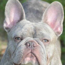 James Crouch | The Independent Photographer